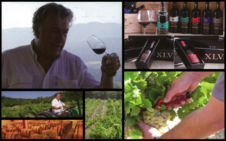 XLV co.,ltd. – XLV公式サイト|XLV日本法人